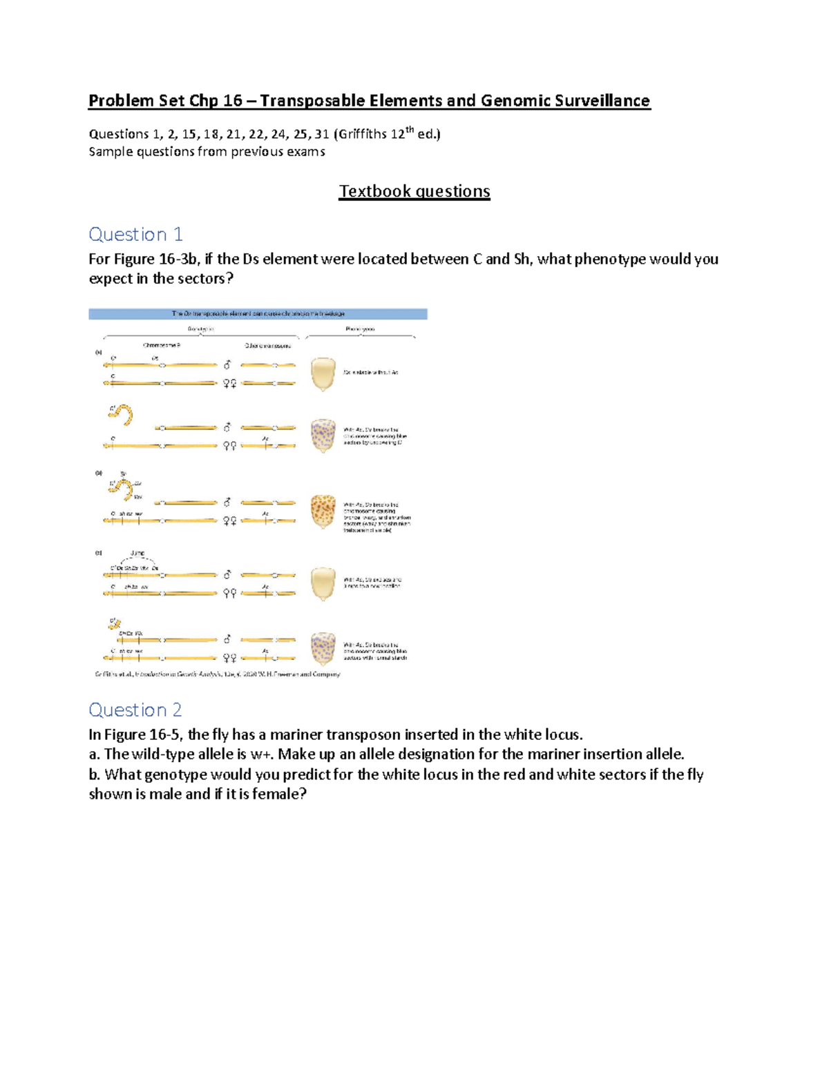 Problem Set: Chp 16 Transposable Elements & Genomic Surveillance ...