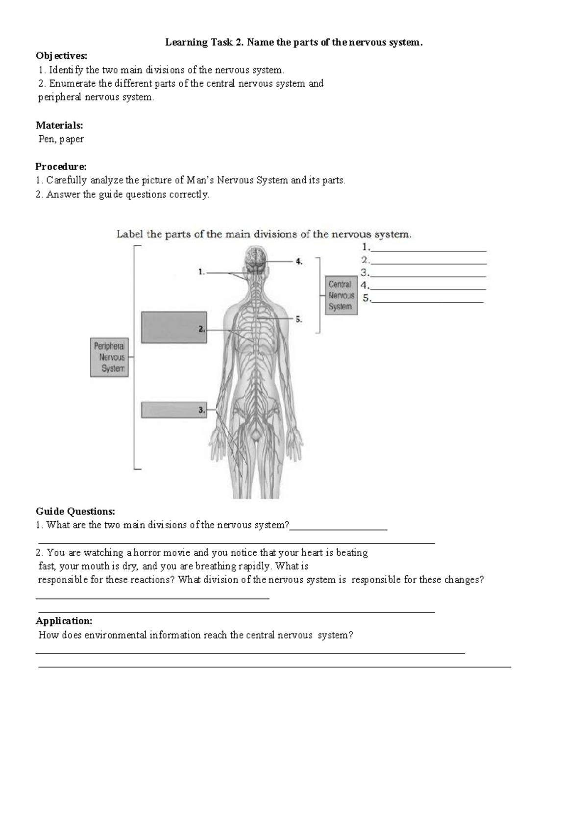 Learning Task 2: Parts of the Nervous System - Science 10 - Studocu