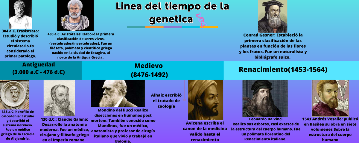 Linea del Tiempo de la Genética: Desde Erasistrato hasta Mendel (304 a ...