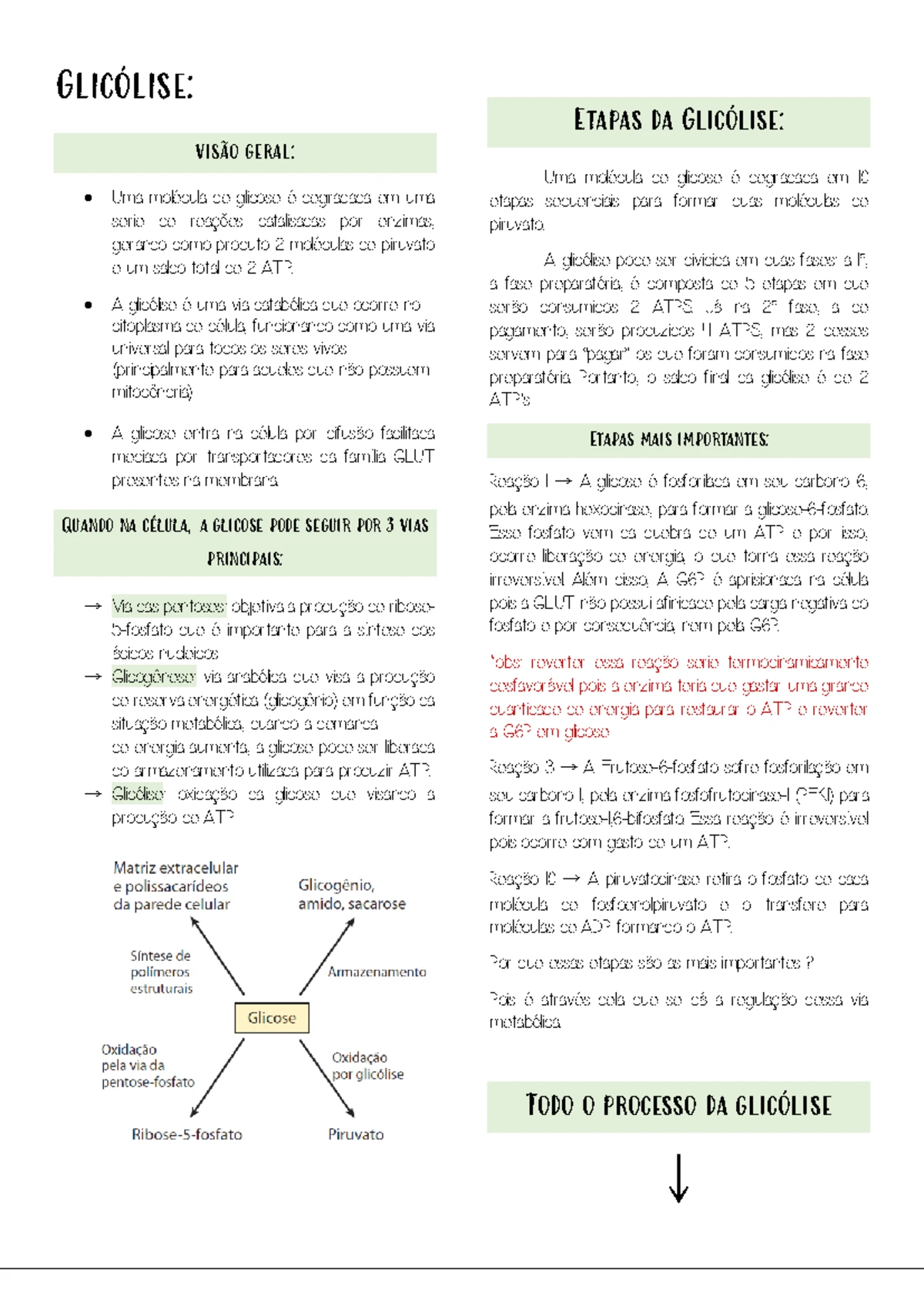 Resumo p2 bioquim - Matérias: glicólise, gliconeogênese, glicogênese ...