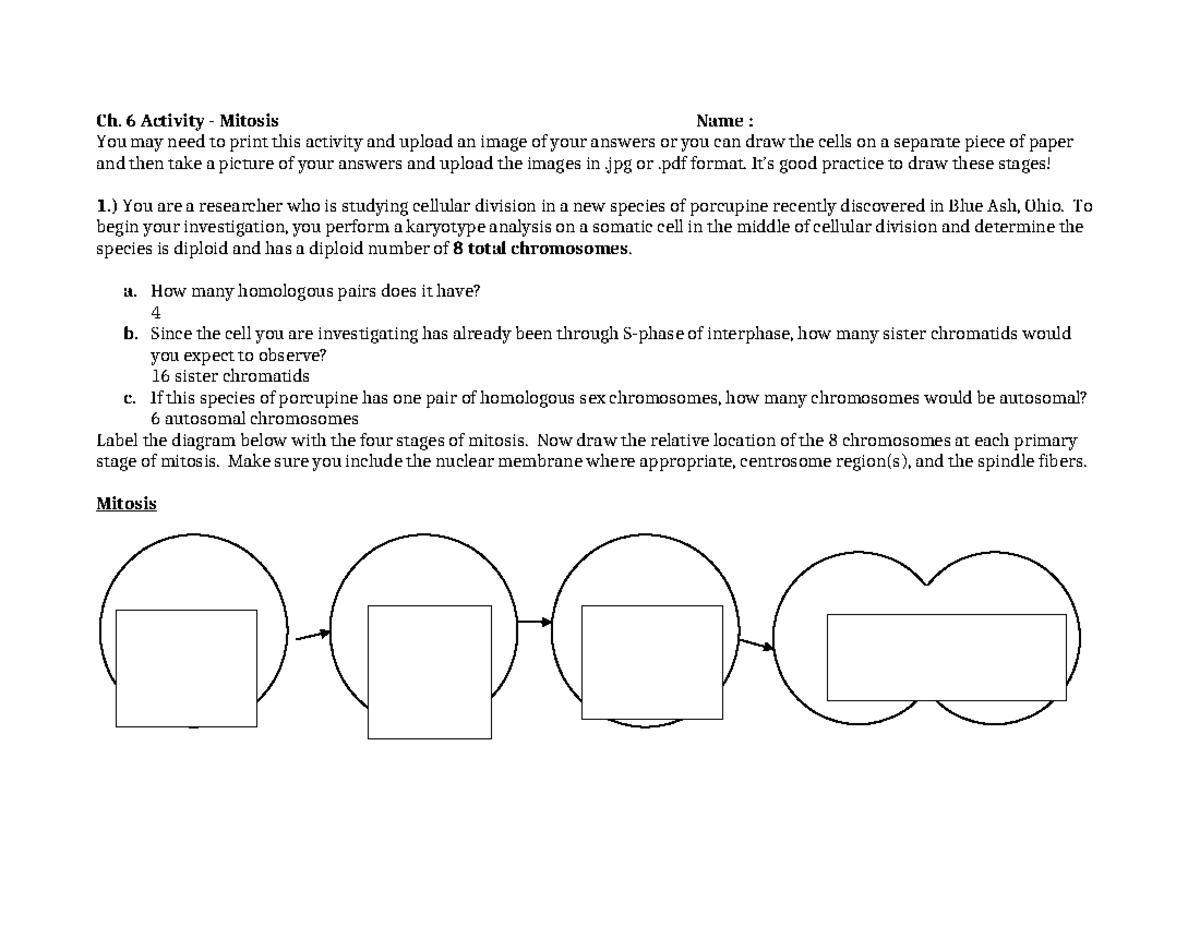 BIOL 1021 Ch. 6 Mitosis Activity Worksheet U25 - Studocu