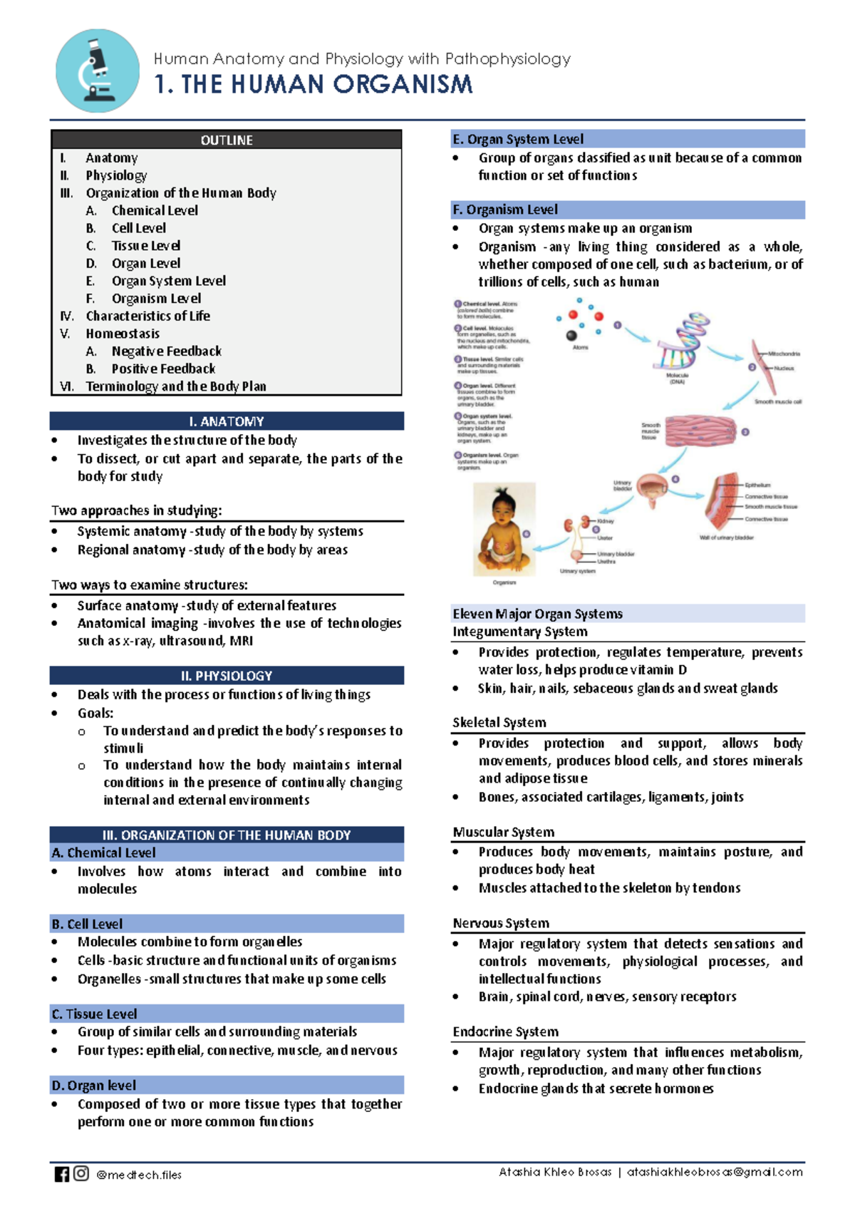 Human Anatomy and Physiology with Pathophysiology 1: Comprehensive ...