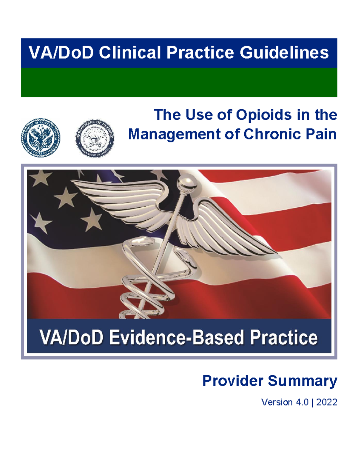 VA/DoD CPG for Opioid Management in Chronic Pain: Provider Summary ...