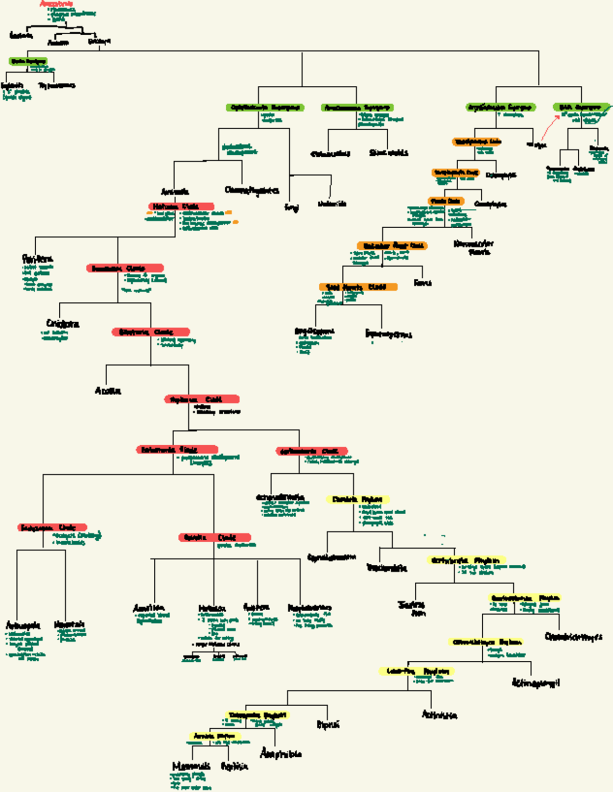 Monster Phylogeny - Bio 2, Lecture Notes on Organism Classification ...
