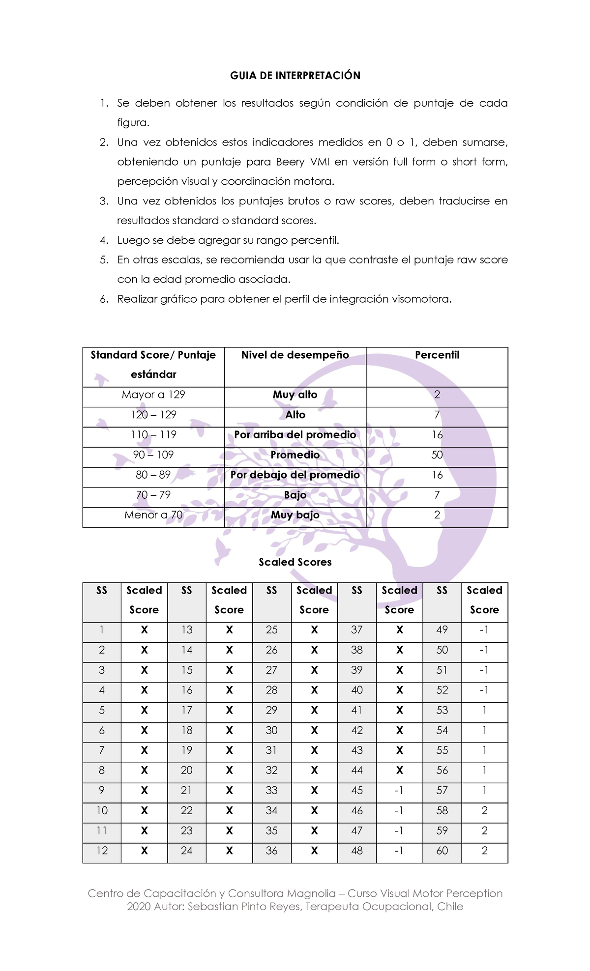 Guía de Interpretación Beery VMI - Curso Visual Motor Perception - Studocu
