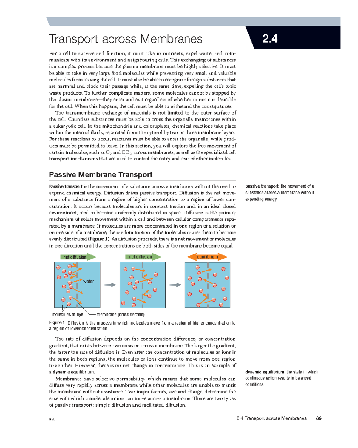 Transport Mechanisms in Cells: Passive and Active Transport (BIO 7923 ...