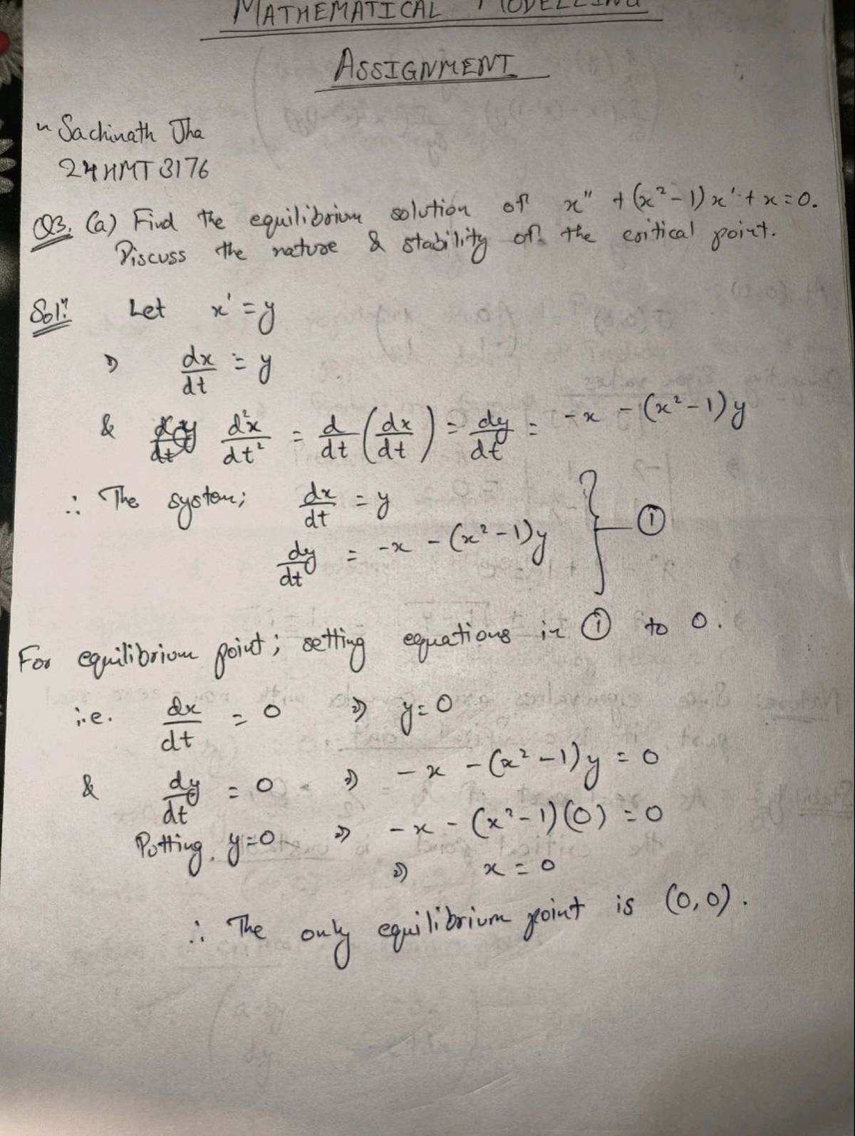 Mathematical Modelling Assignment: Equilibrium Solutions & Stability ...