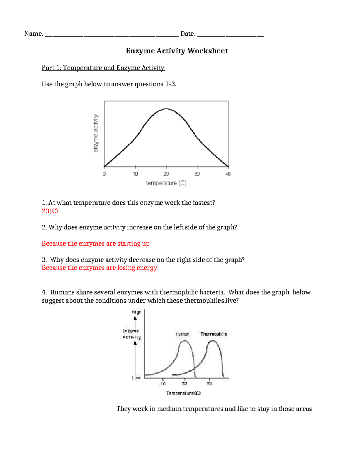 Enzyme Activity Worksheet: Temperature Effects on Enzymes - Studocu