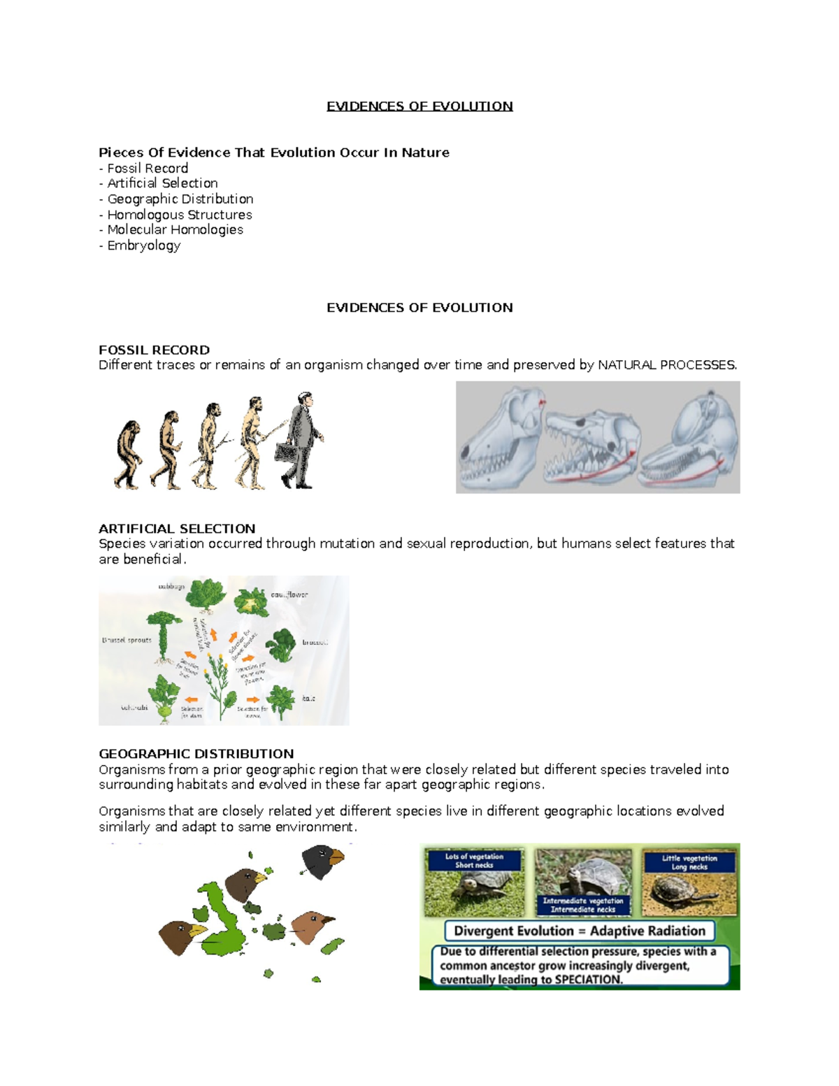 Gen Bio Lesson 4 - EVIDENCES OF EVOLUTION Pieces Of Evidence That ...