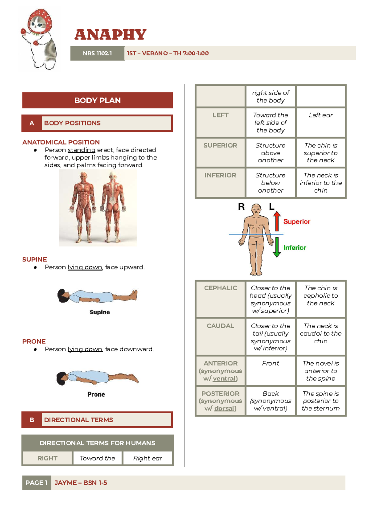 Body Positions and Anatomical Terms - ANAPHY NRS 1102.1 1ST VERANO TH ...