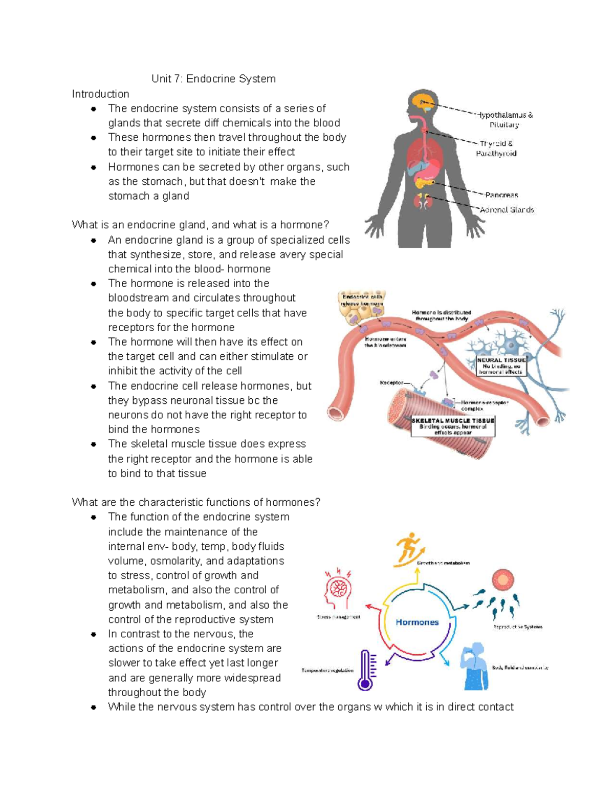 Unit 7: Introduction to the endocrine system and hormone functions ...