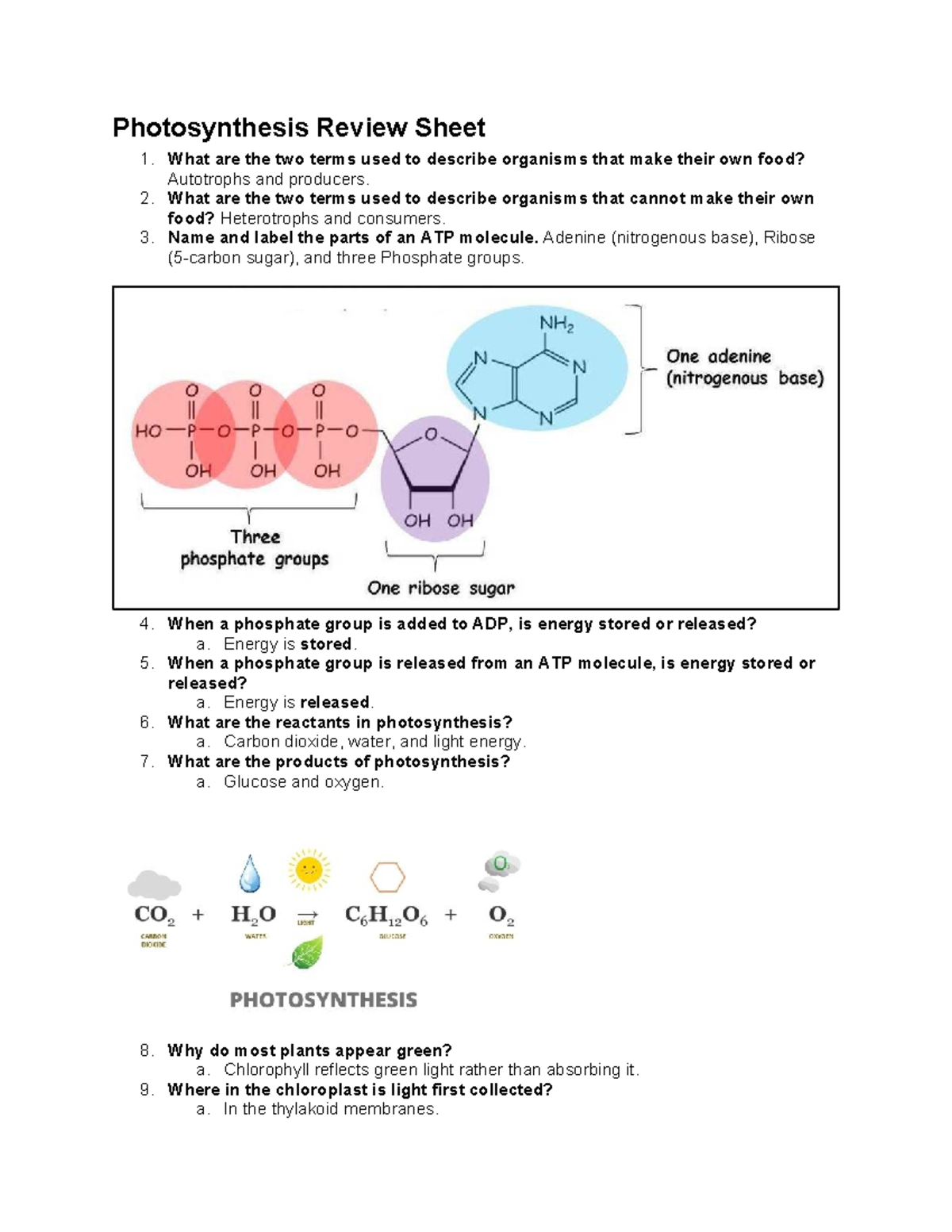 Photosynthesis Review Sheet: Key Concepts and Processes - Studocu