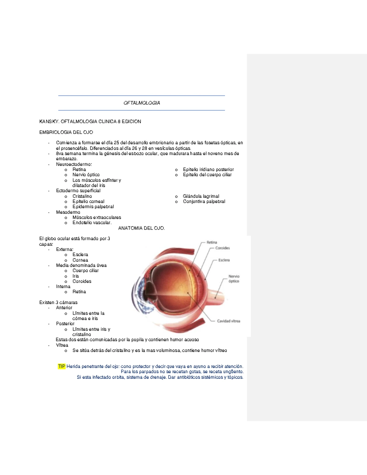 OFTALMOLOGÍA: ANATOMÍA Y FISIOLOGÍA OCULAR BÁSICA - ENFERMEDADES DEL PÁRPADO - Studocu