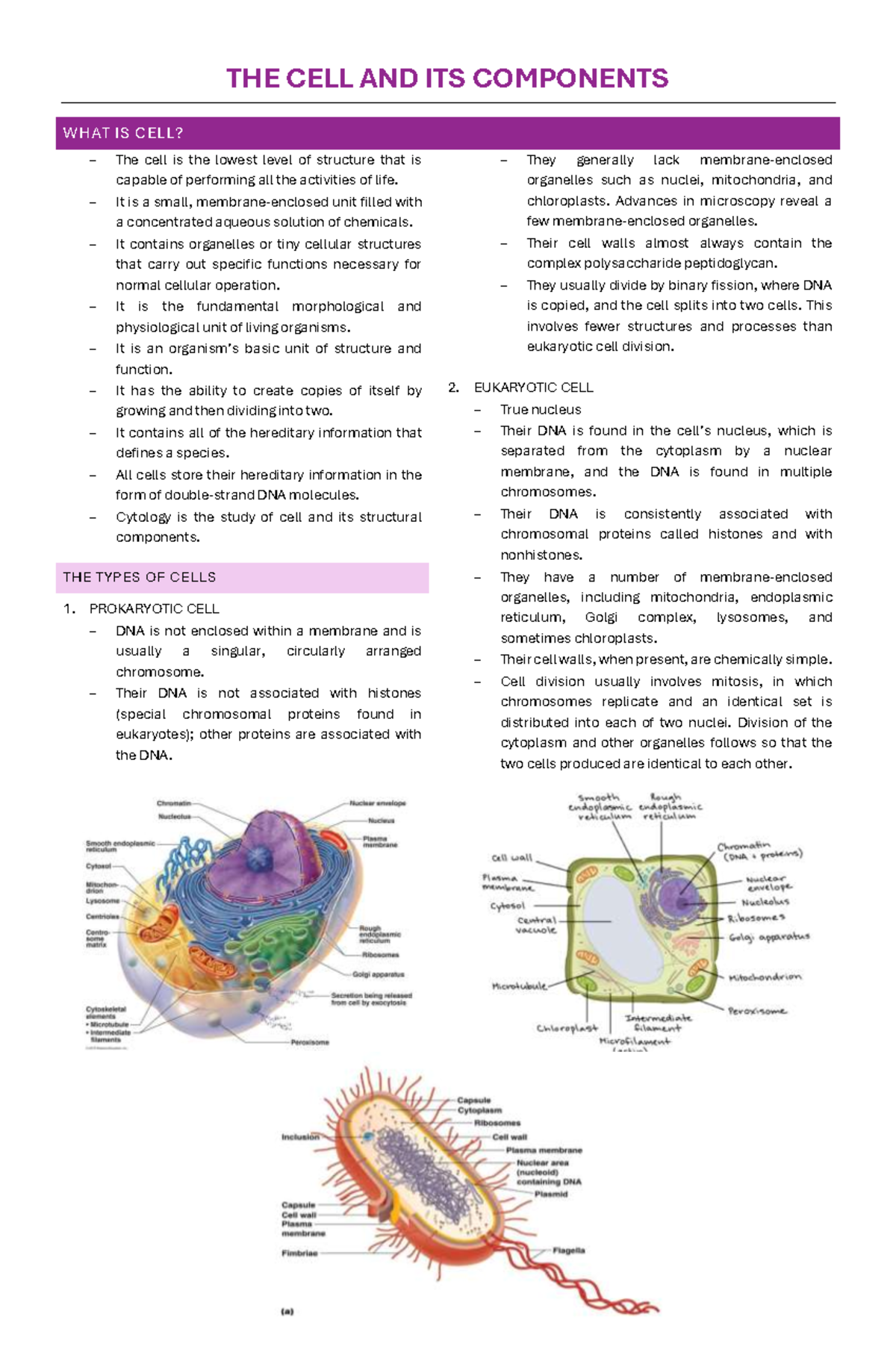 THE CELL (BIO101) - Structure, Organelles, and Historical Insights ...