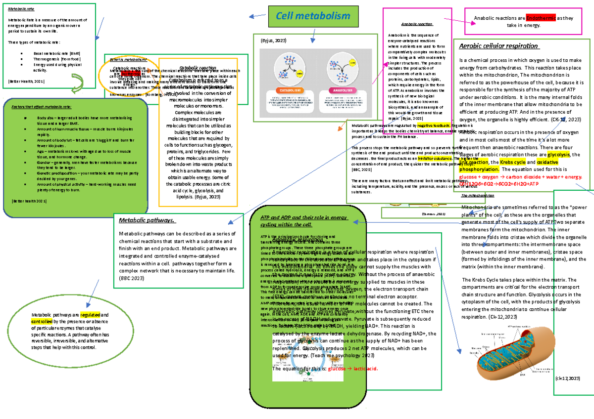 Unit 15 Cell metabolism mind map - Catabolic reactions are Exothermic as they give out energy ...