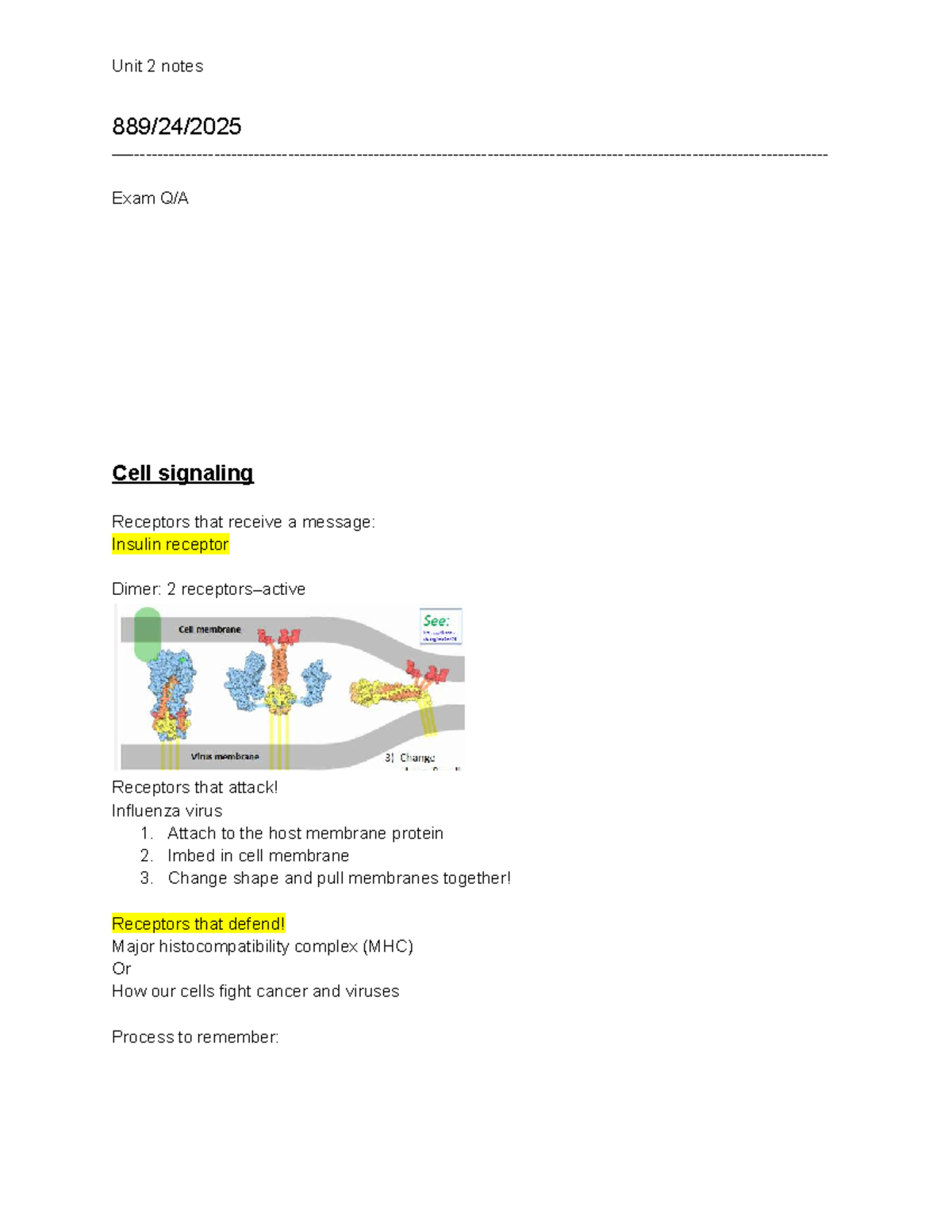 Unit 2 Notes: Cellular Respiration & Metabolism Exam Prep - Studocu