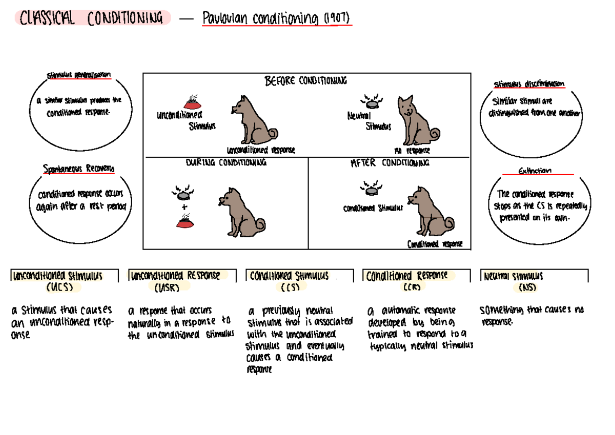 CLASSICAL CONDITIONING: Key Concepts and Terminology - Studocu