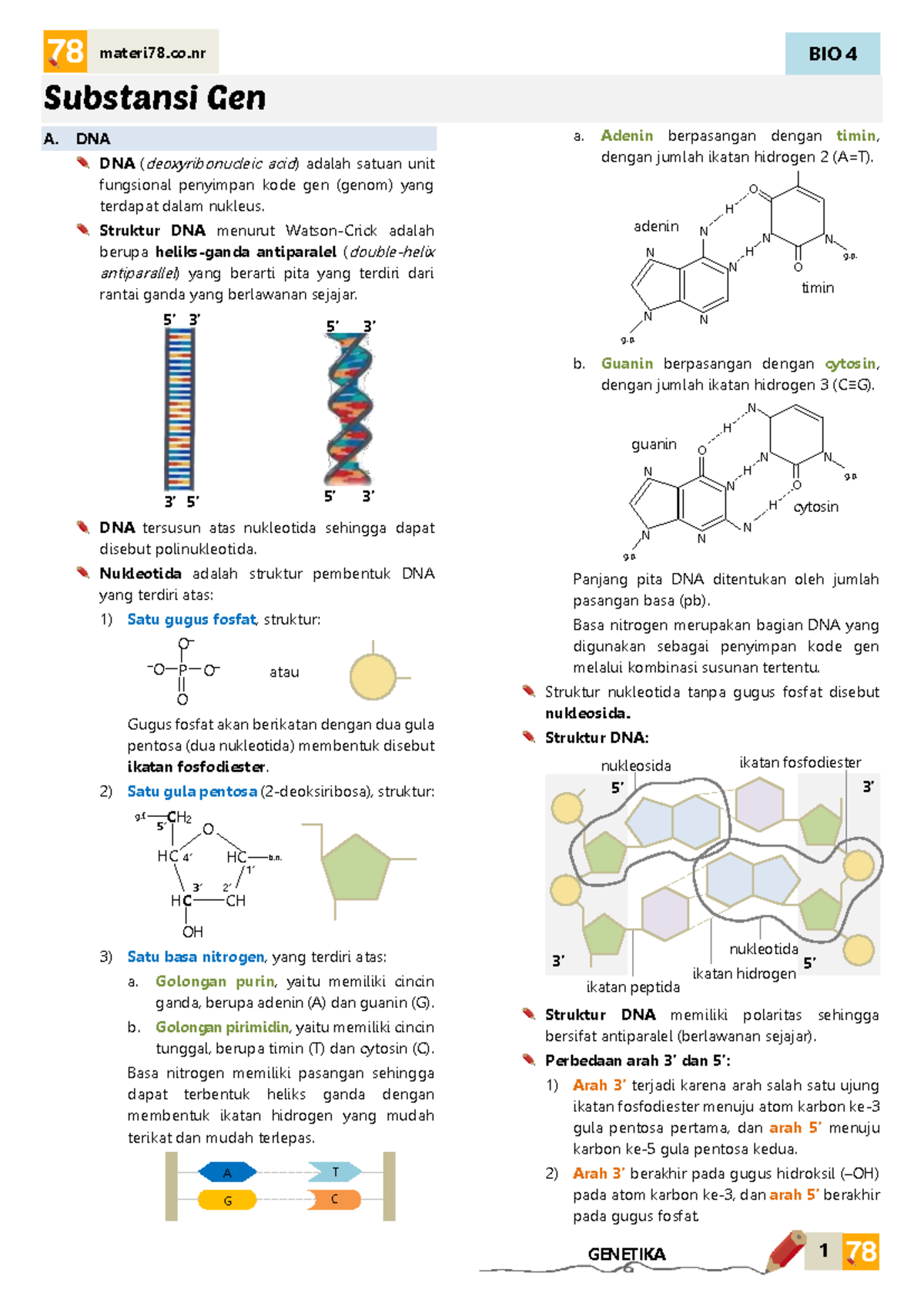 BIO 4 - Genetika: Struktur DNA dan Kromosom dalam Biologi - Studocu