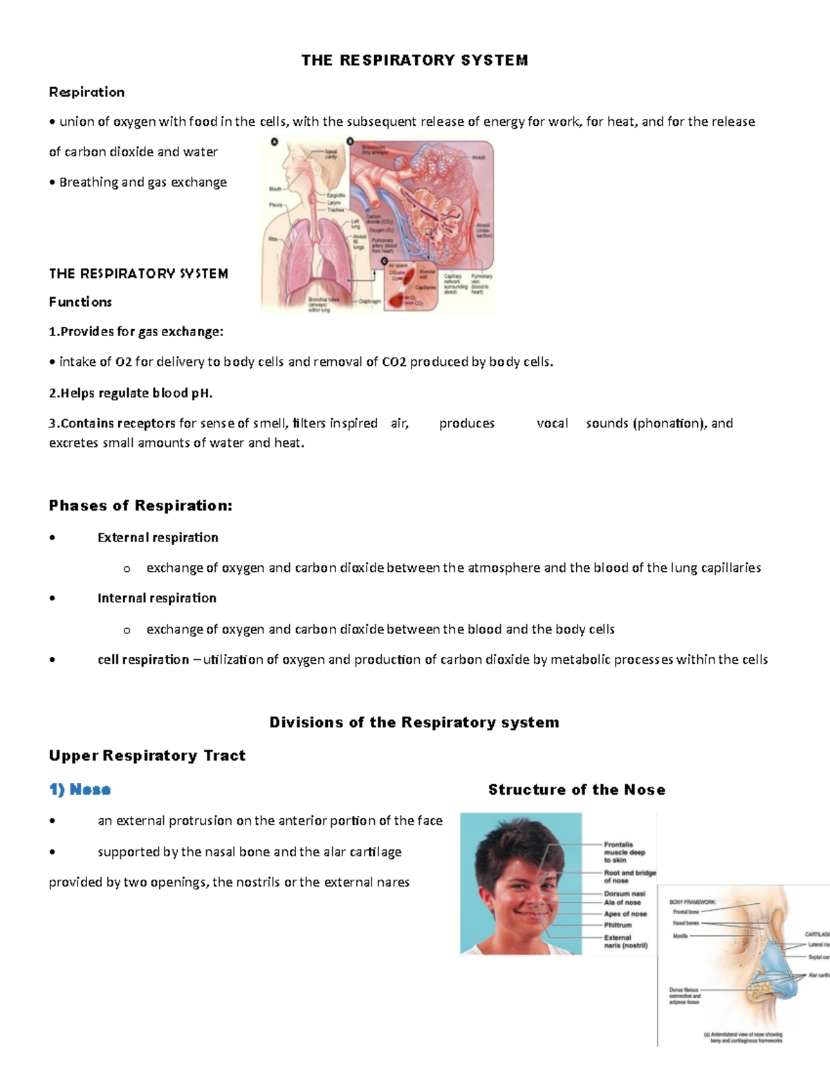 THE Respiratory System Com - THE RESPIRATORY SYSTEM Respiration union ...