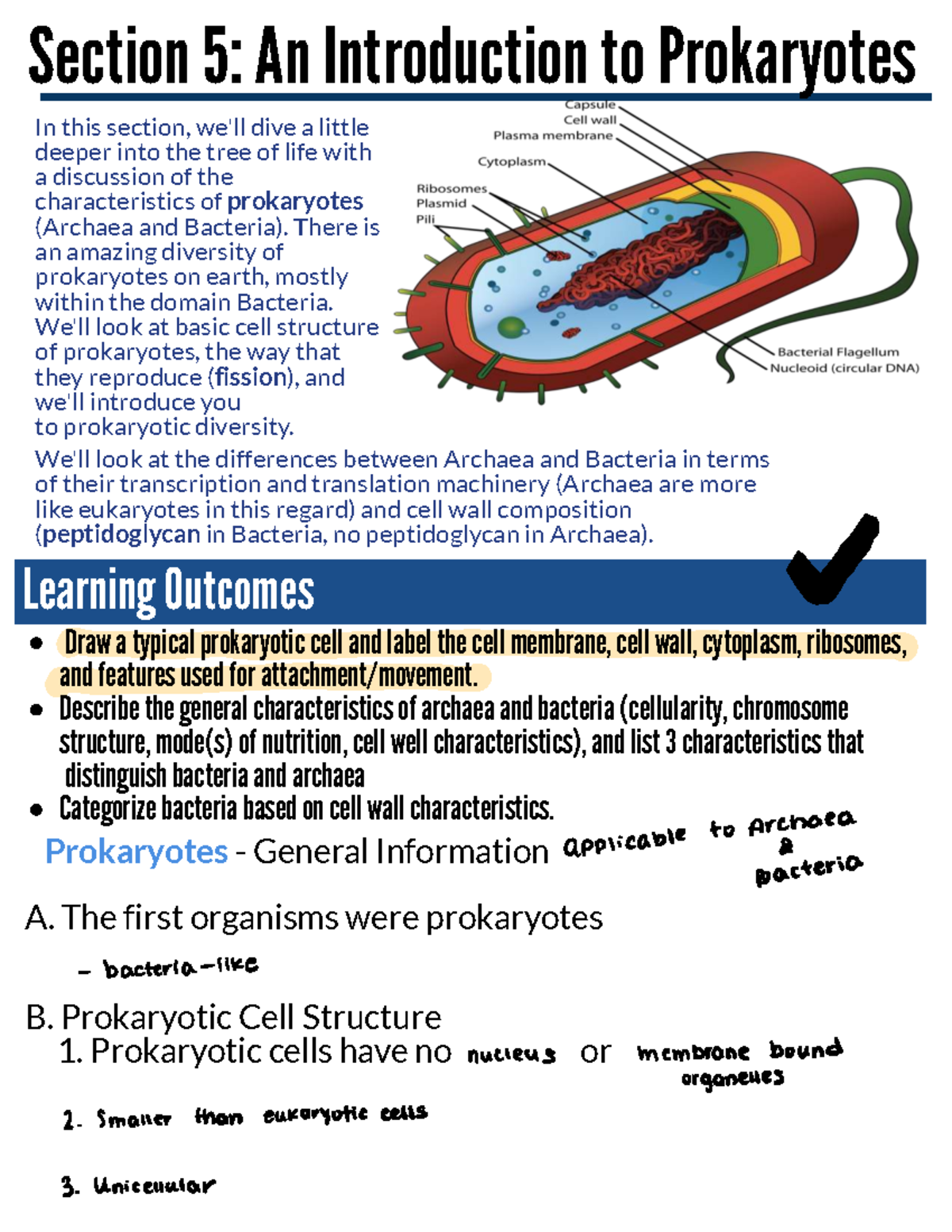 Prokaryotic Cells: Structure & Diversity (Biology 101 - Section 5 ...