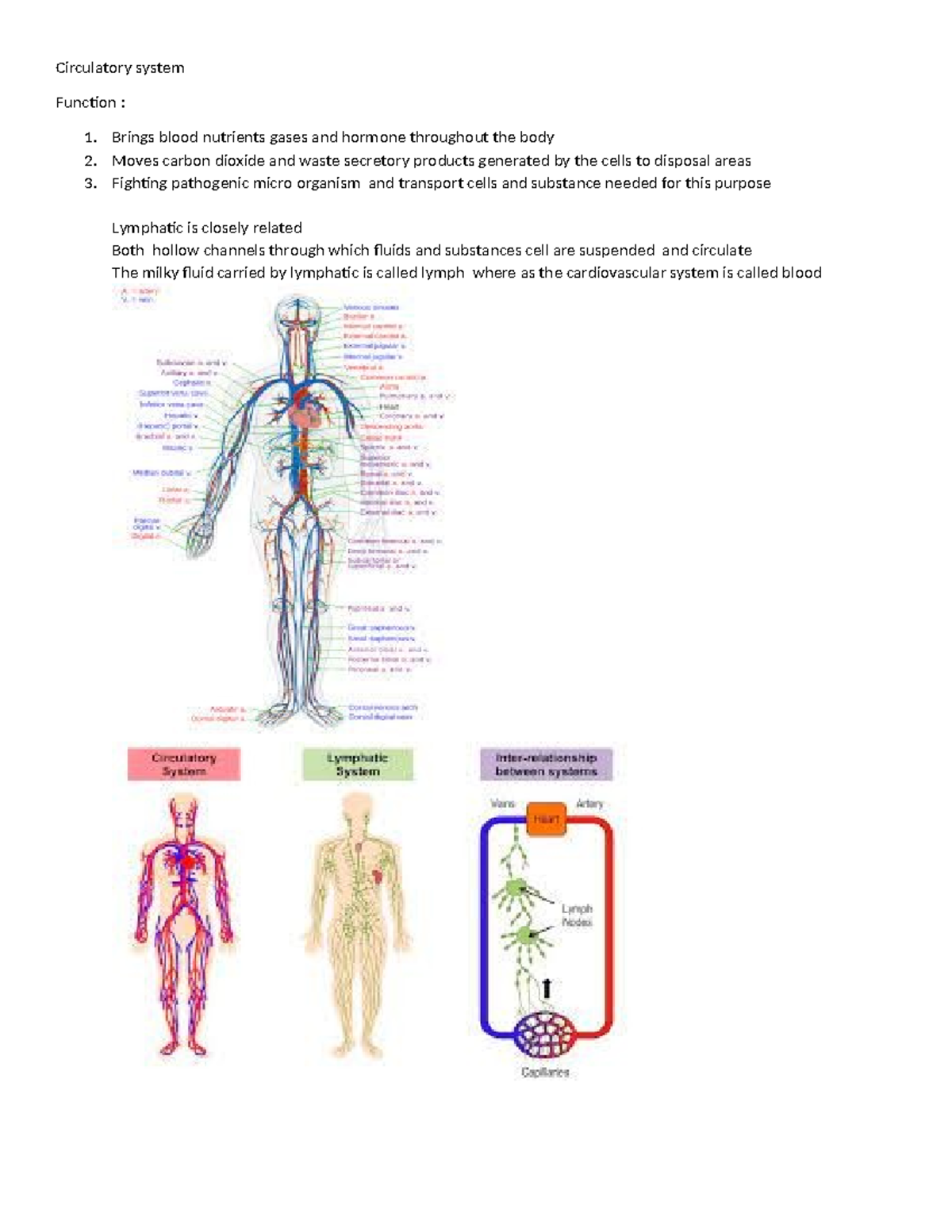 Circulatory System Function: Comprehensive Review for Biology 101 - Studocu