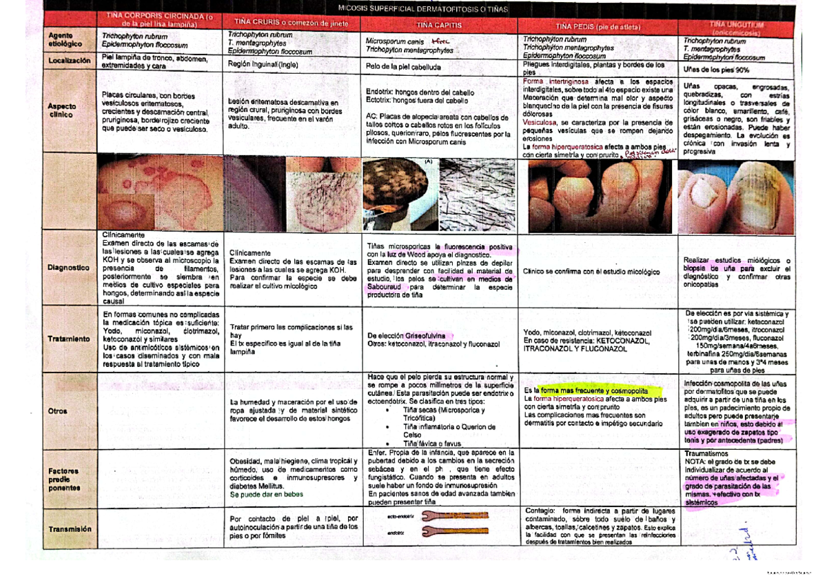 Micosis - Resumen Parasitología - MICOSIS SUPERFICIAL DERMATOFITOSIS O ...