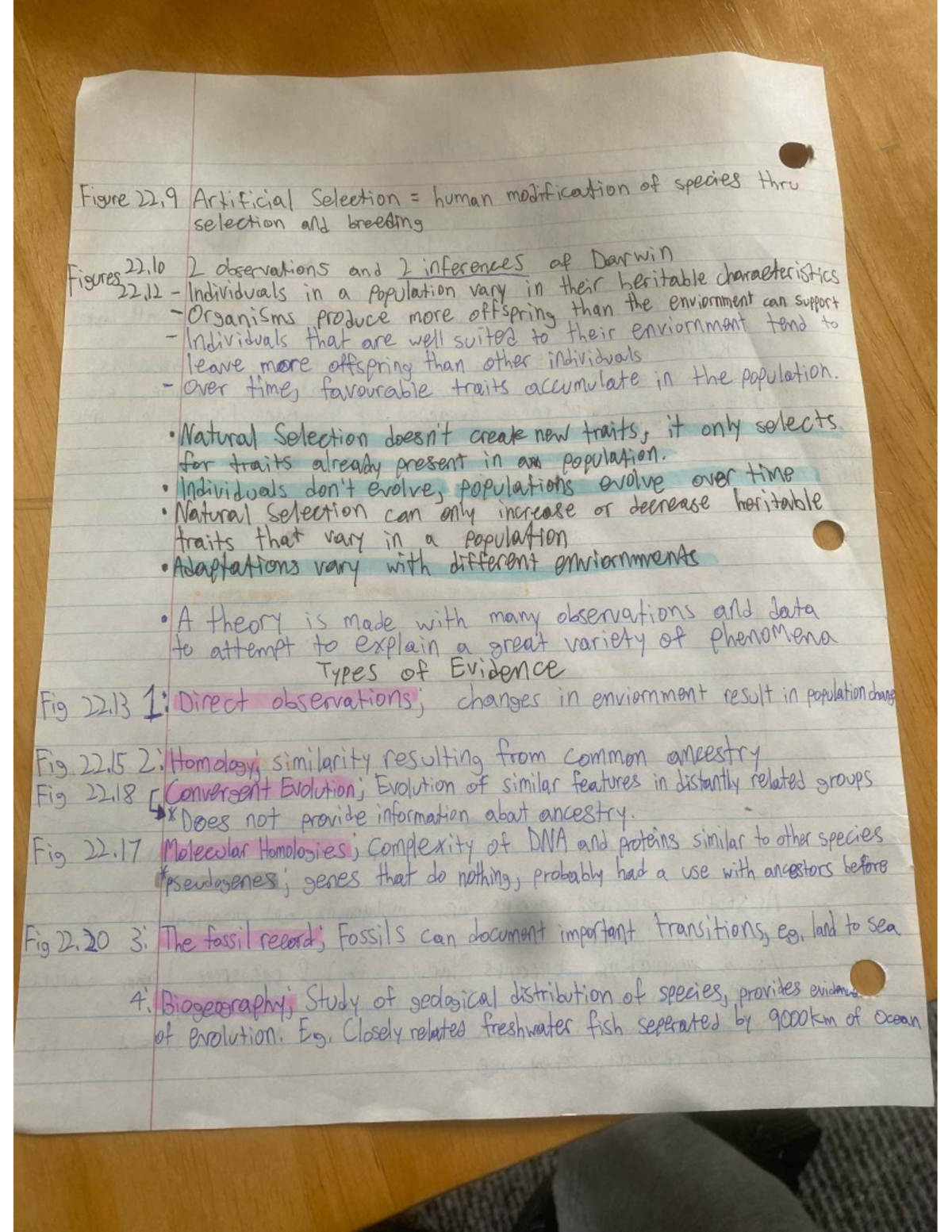 BIO 101: Lecture Notes on Artificial Selection and Natural Selection ...