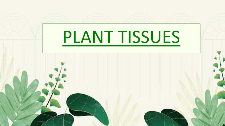 Plant Tissues and Their Functions: A Comprehensive Overview - Studocu