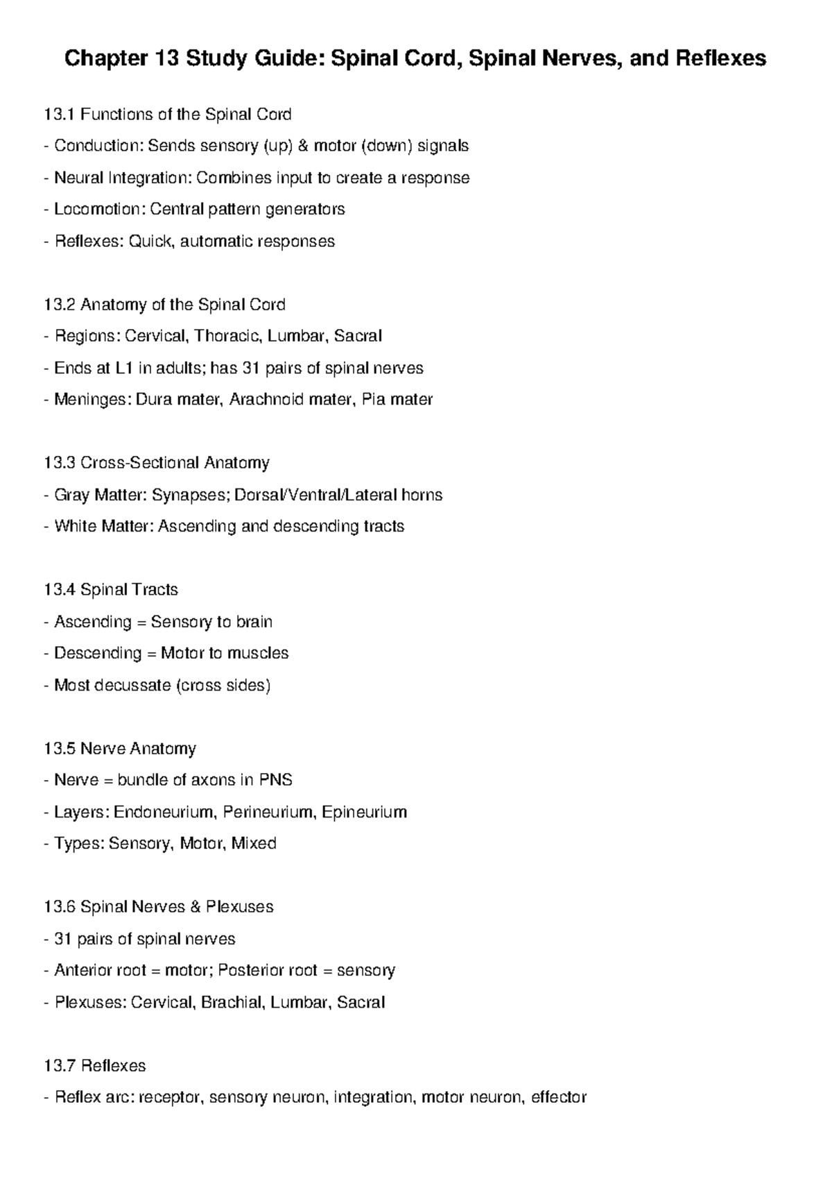 Chapter 13 Study Guide: Spinal Cord, Nerves & Reflexes Overview - Studocu