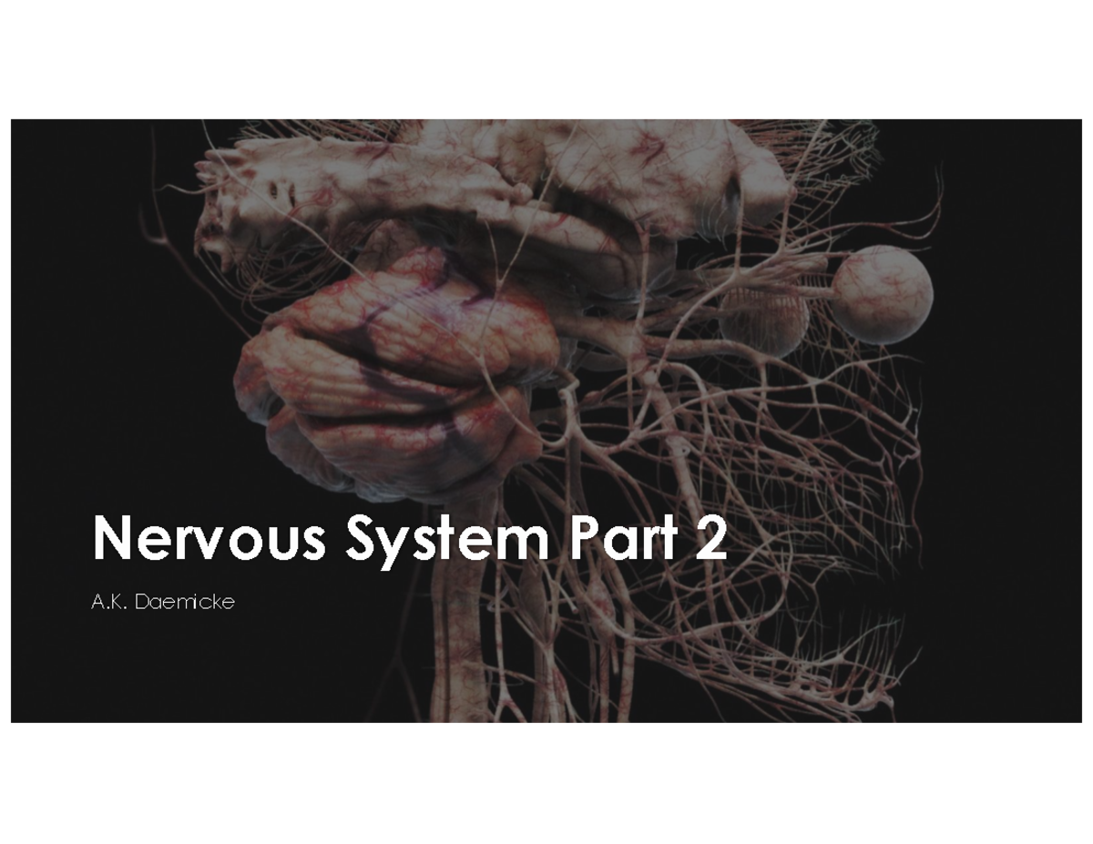 Week 9: Nervous System II - Structure, Function, and Organization ...