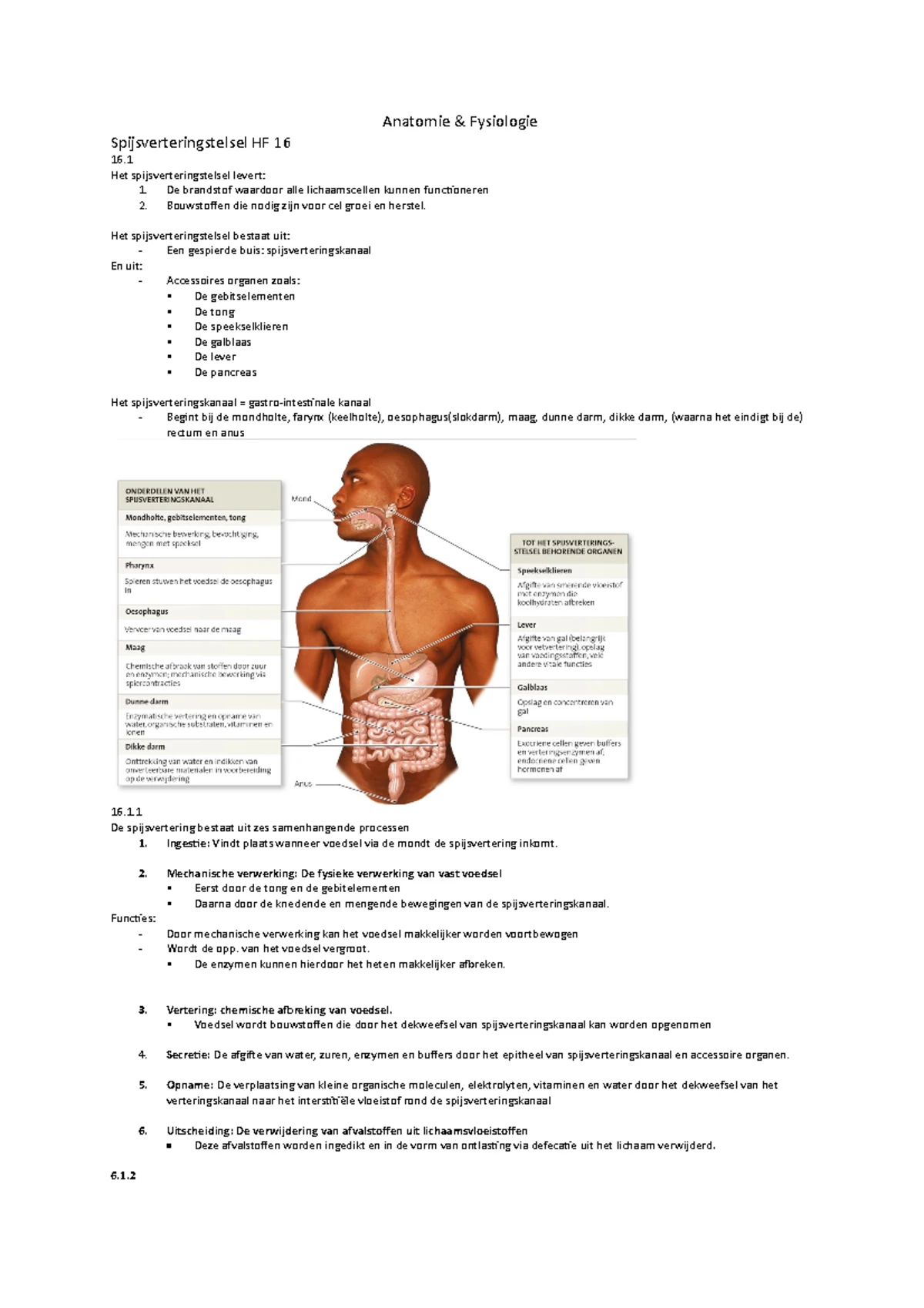 Bouw van het hart - samenvatting hoofdstuk 12. de bouw van het hart ...