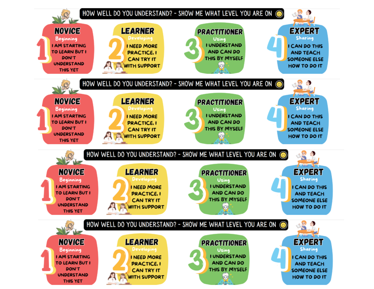 Levels of Understanding: Novice to Expert Evaluation - Studocu