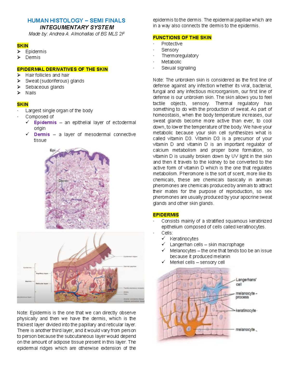 SF Human Histology: Integumentary System Semi-Finals Notes - Studocu