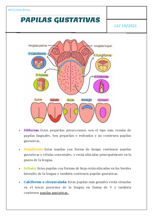 Corpúsculos - Qué es un corpúsculos y cuáles son - Corpúsculo E1 ...
