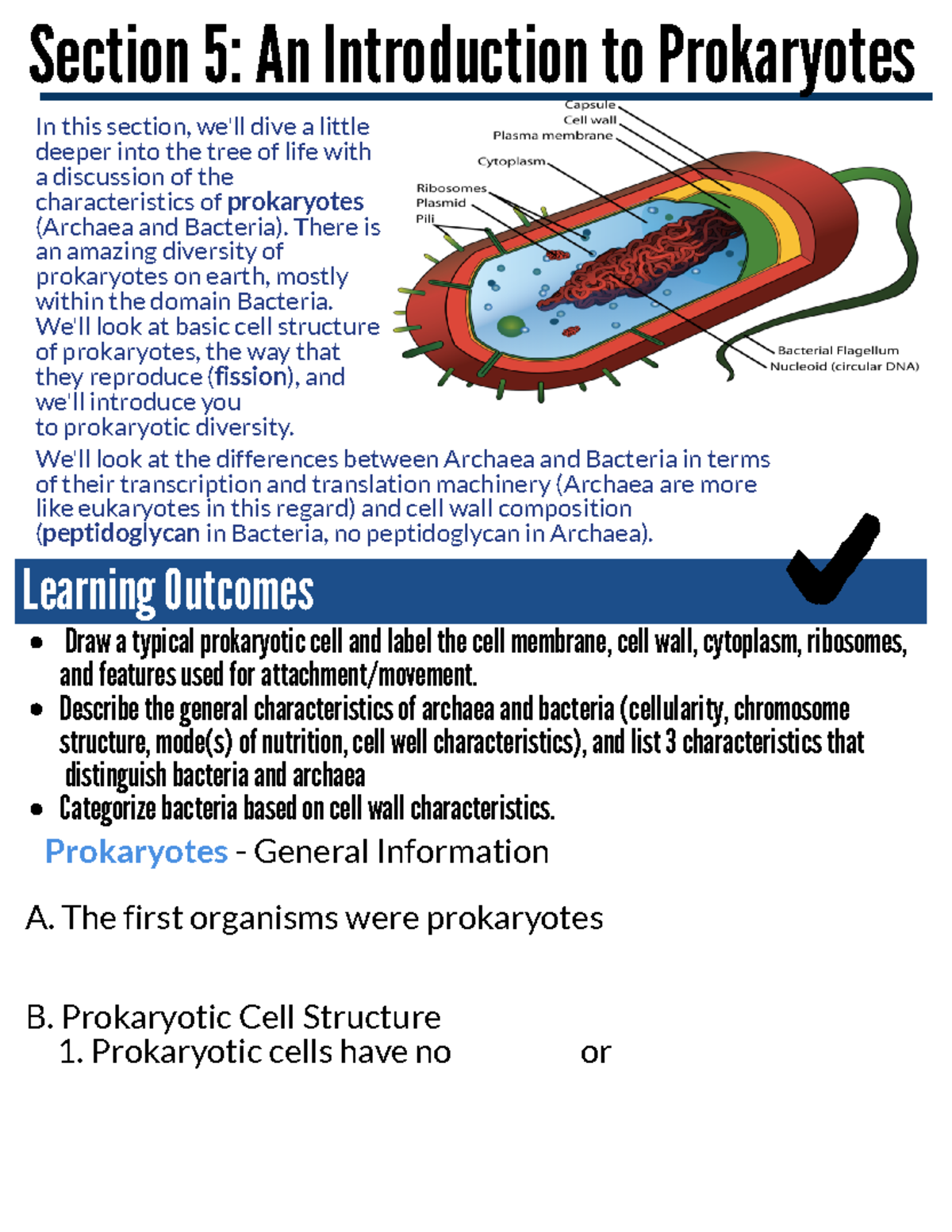 Simple Facts About Prokaryotic Cells