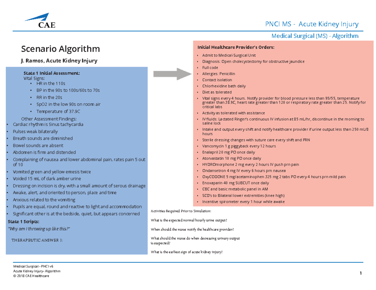 Simulation 325 AKI worksheet - 1 Medical Surgical - PNCI v Acute Kidney ...