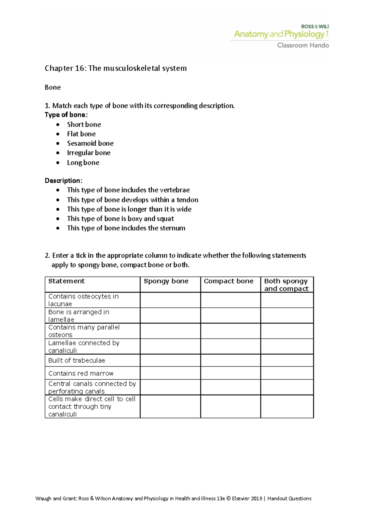 Handout Questions: Anatomy & Physiology of Bone - Studocu