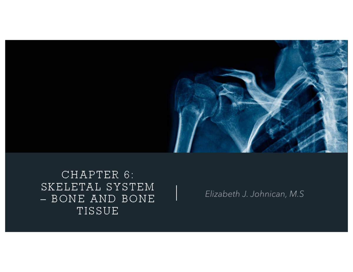 Chapter 6: Skeletal System - Bone and Bone Tissue - Studocu