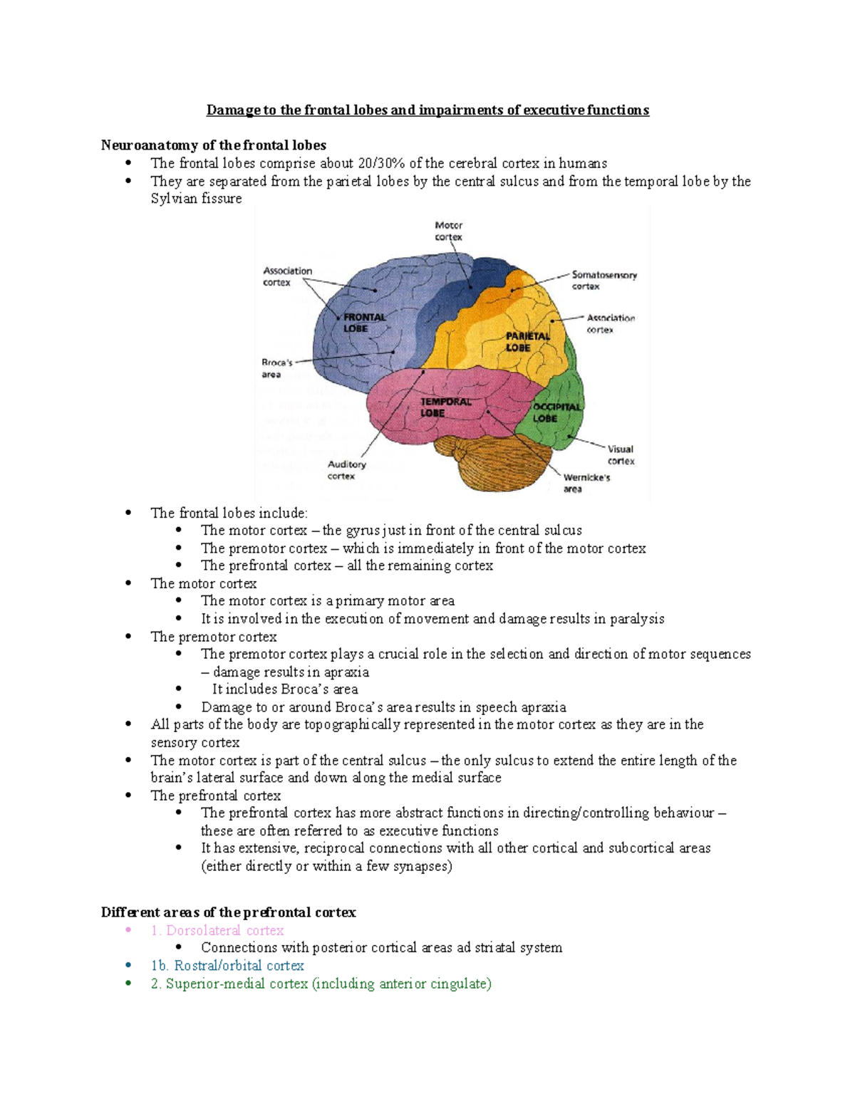 Frontal Lobe Functions and Executive Control: Understanding Amnesia ...