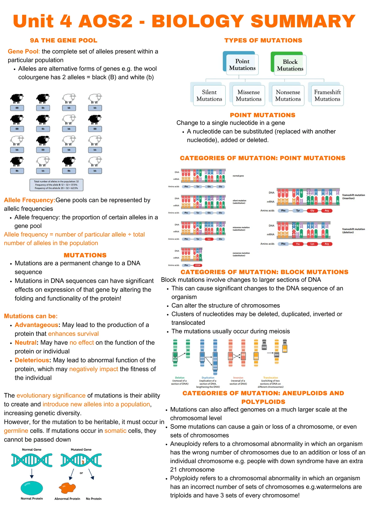 Unit 3 AOS2 Biology Summary: Enzymes, Photosynthesis, & Cellular ...