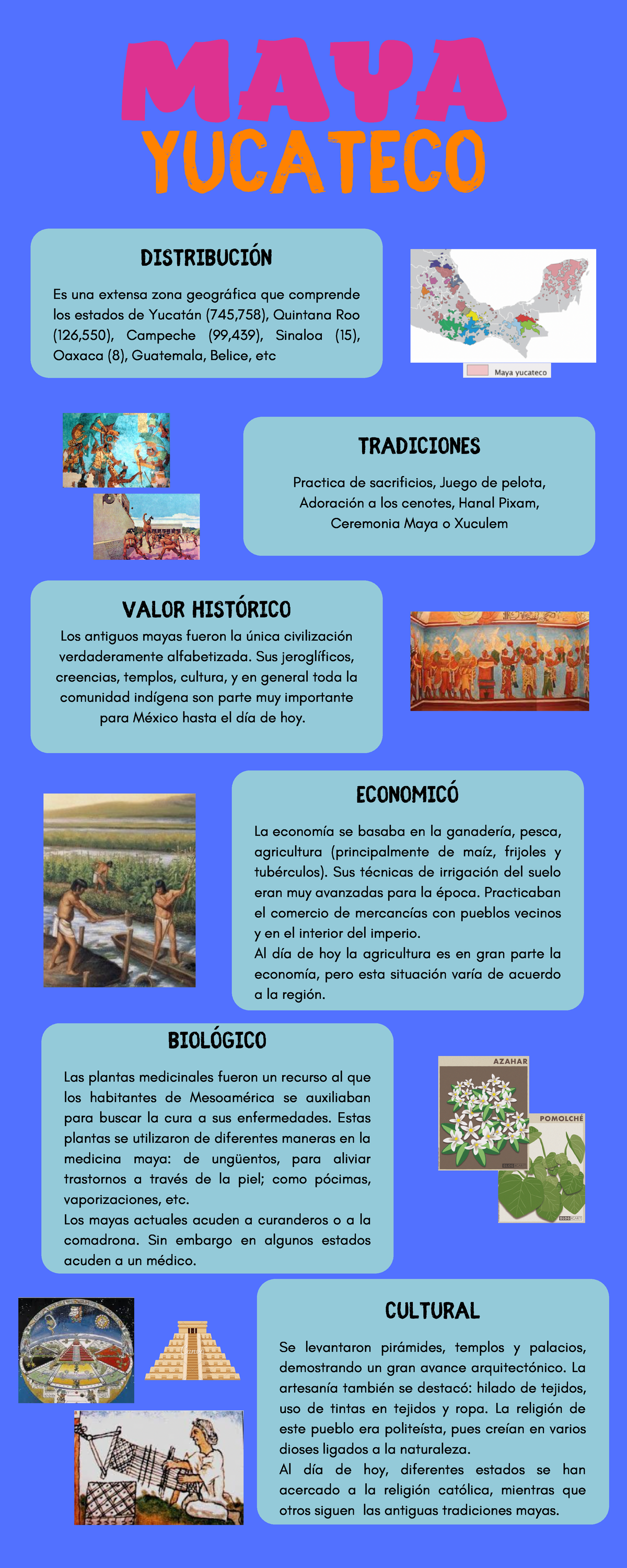 Civilización Maya - Infografía para mayor comprensión - MAYA YUCATECO ...