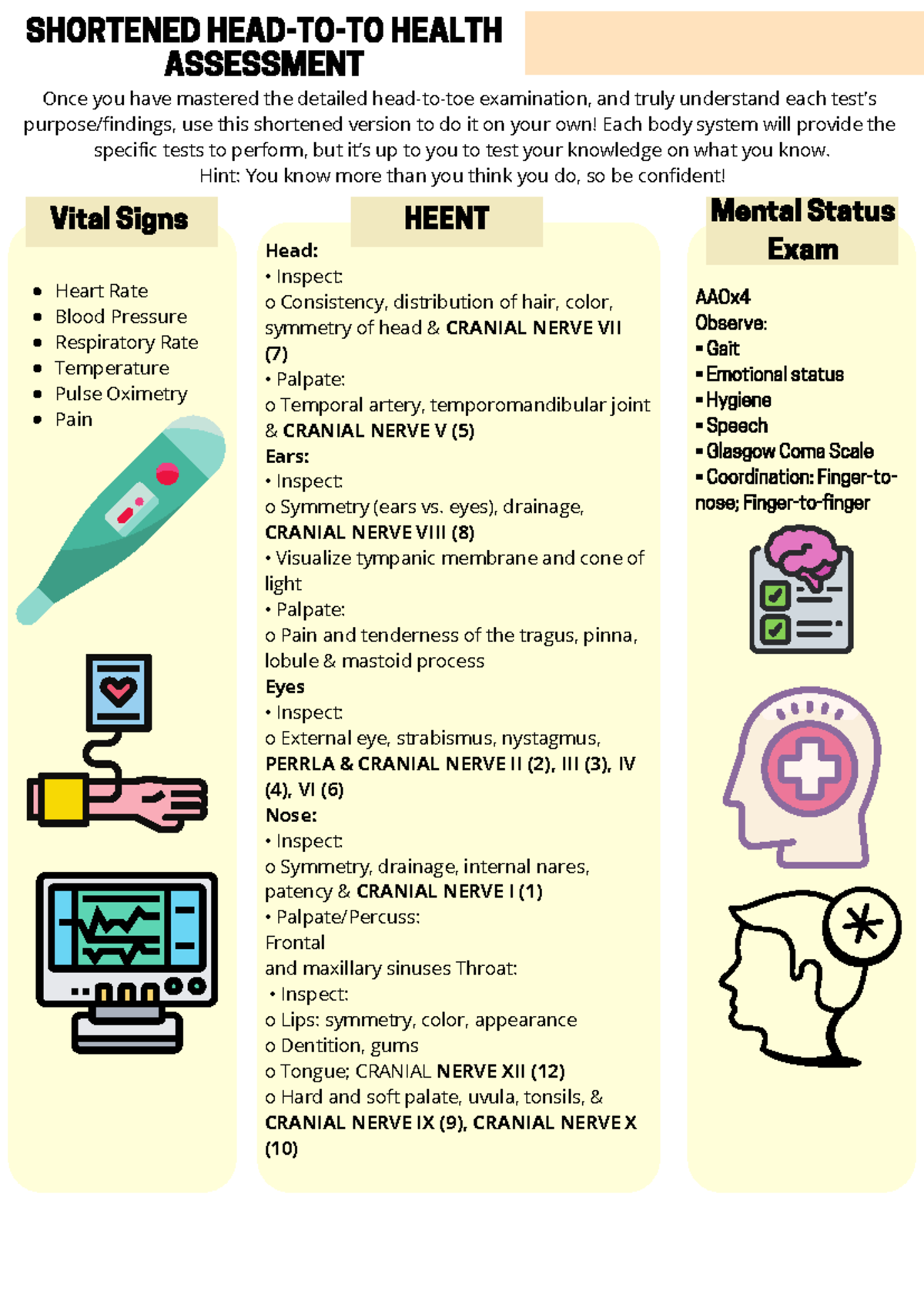 Head-to-Toe Assessment Guide for Clinical Practice (NUR 101) - Studocu
