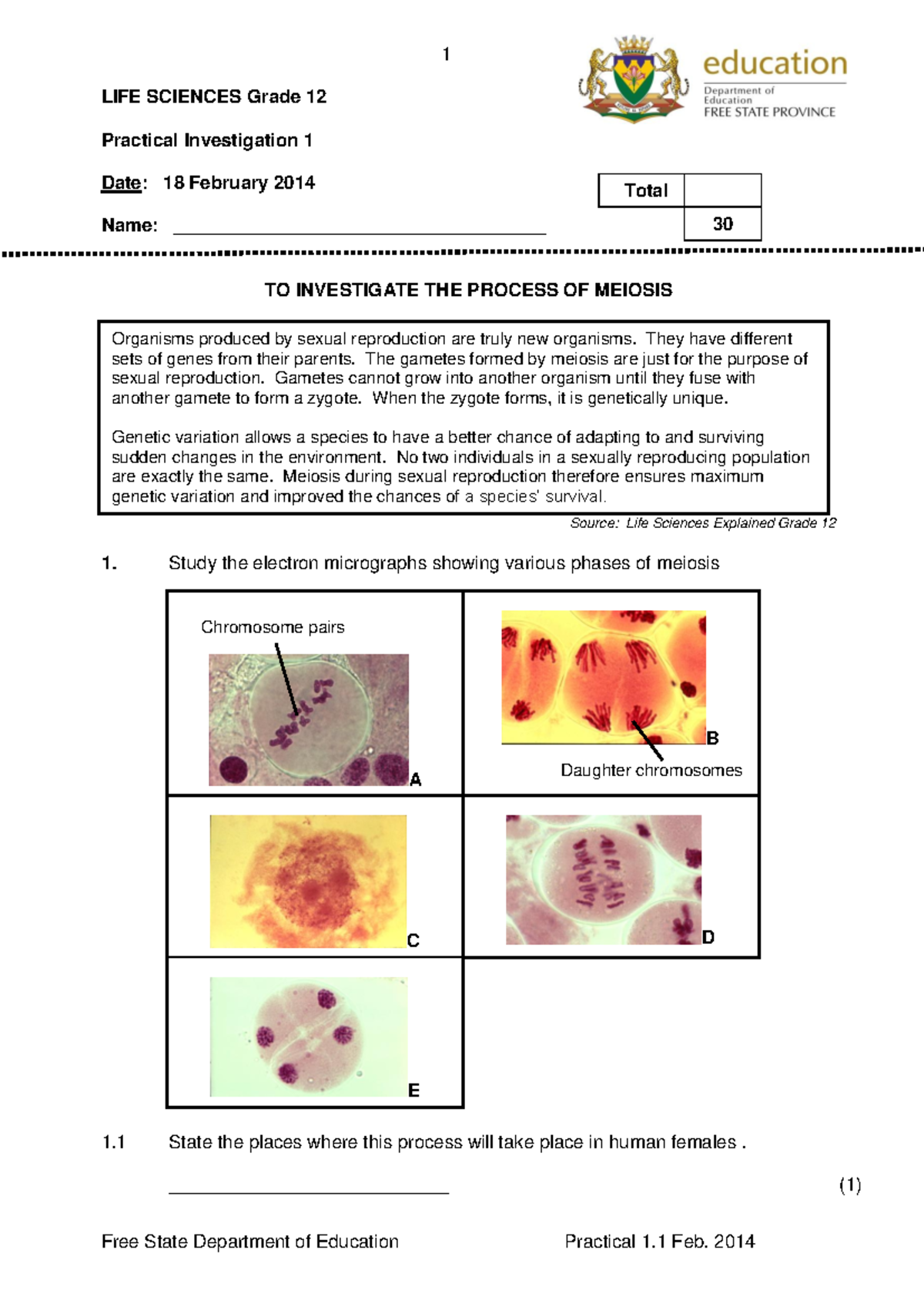 LFSC Gr 12 Practical Investigation 1: Meiosis Study 2014 ENG 1392704928 ...