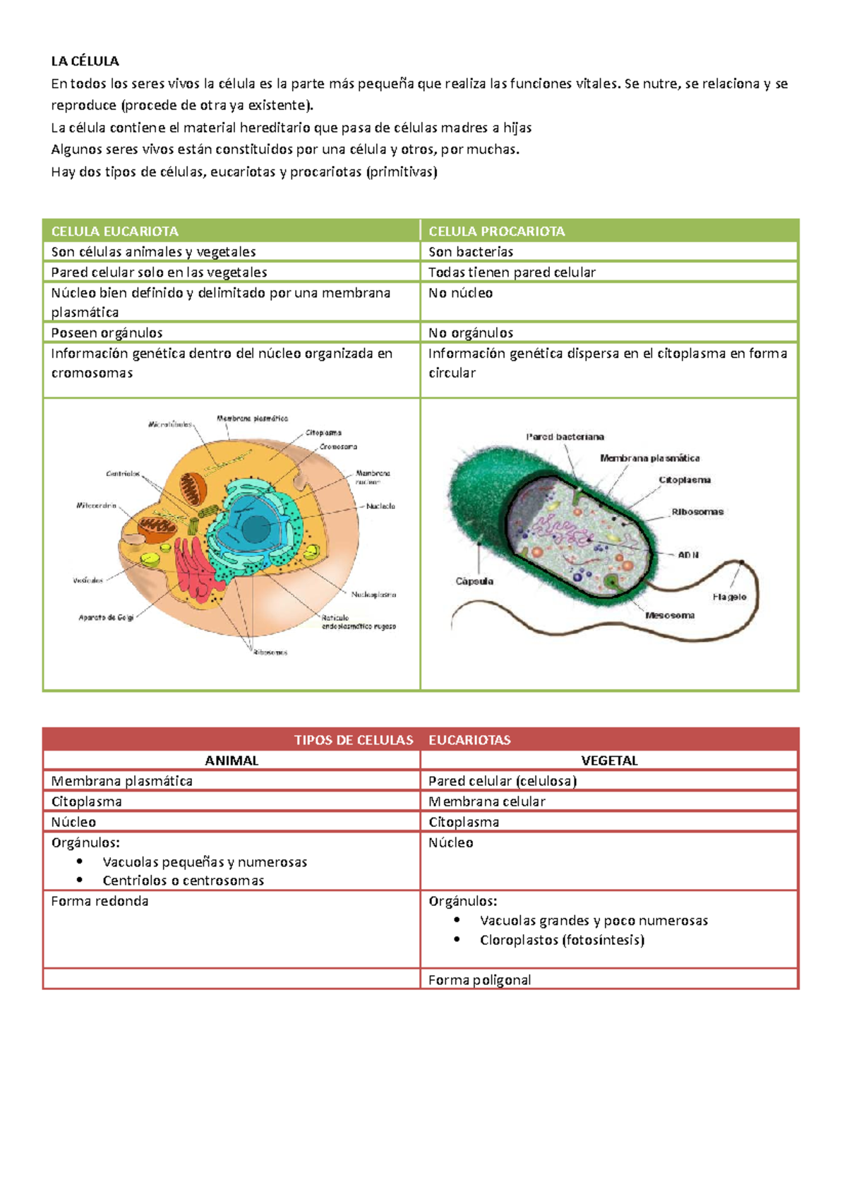 La célula (Pilar) - apuntes sobre la celula - LA CÉLULA En todos los ...