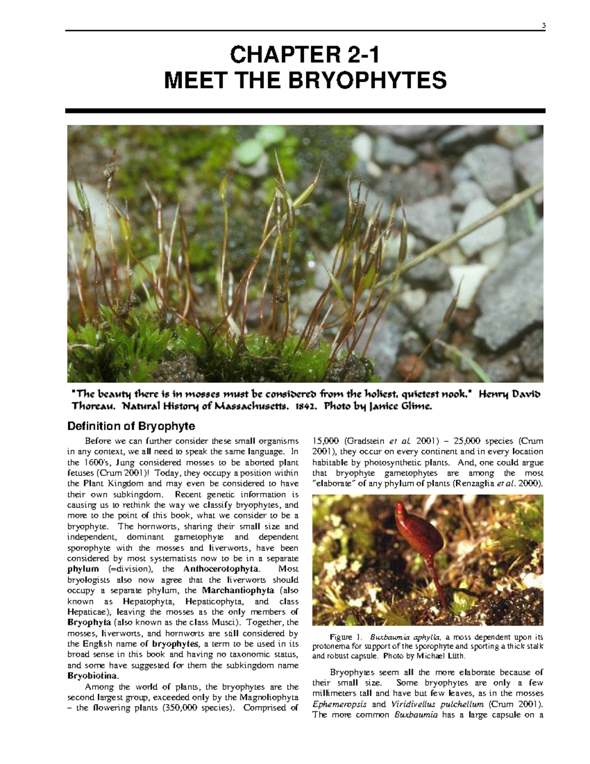Bio 111: Chapter 3 - Meet the Bryophytes Overview and Classification ...