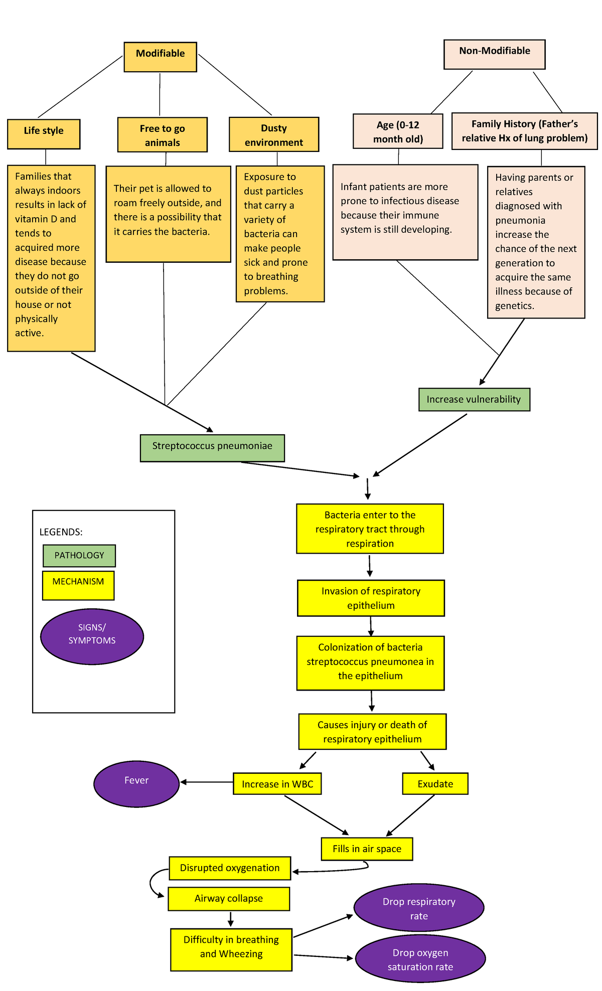 Pathophysiology of PCAP: Modifiable & Non-Modifiable Factors - Studocu