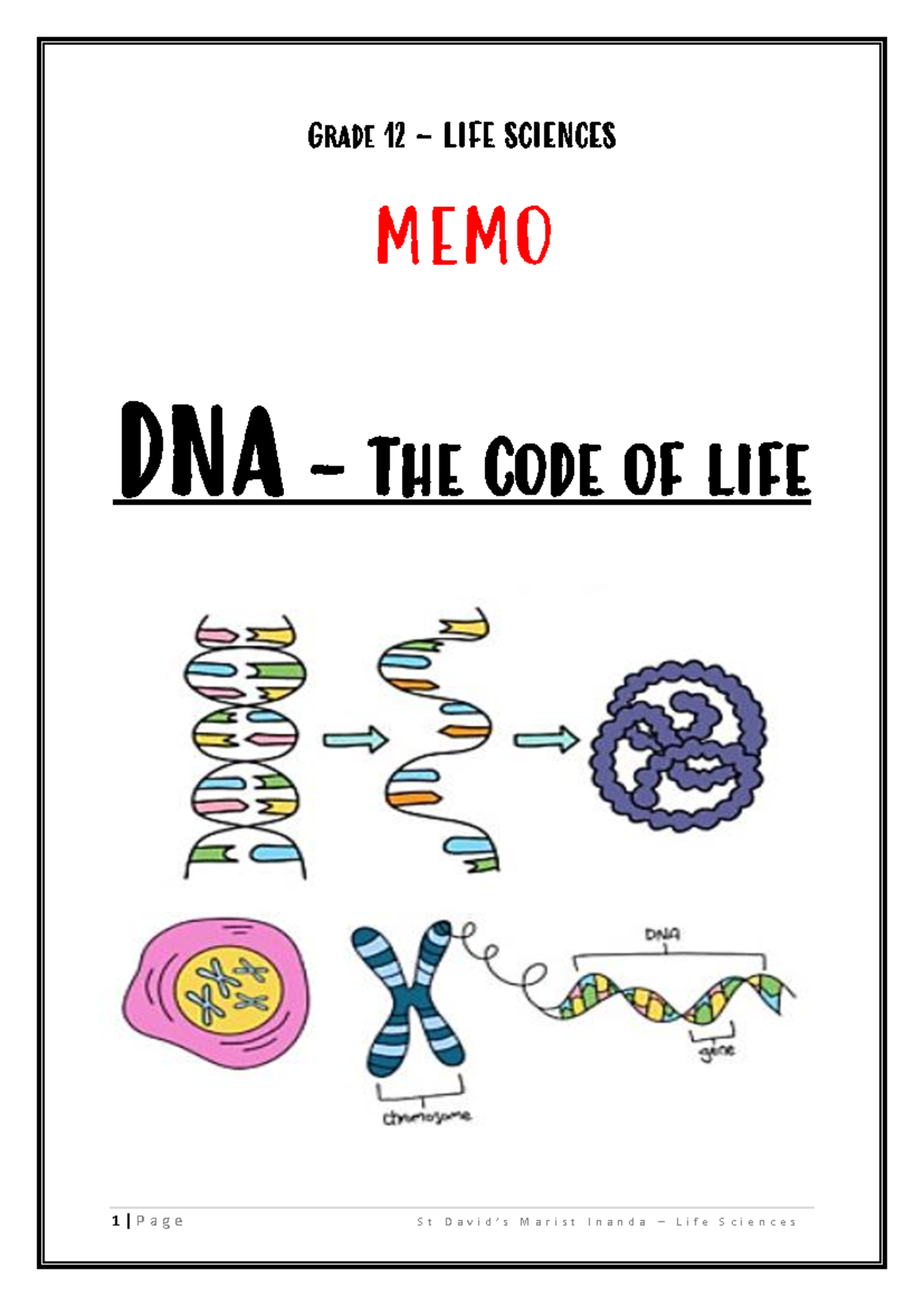 2025 - Gr 12 LS - MEMO - DNA Structure & Replication Notes - Studocu