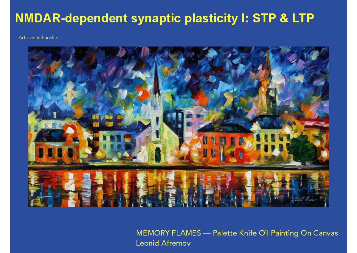 NMDAR-dependent Synaptic Plasticity I: STP & LTP Lectures 2025 - Studocu