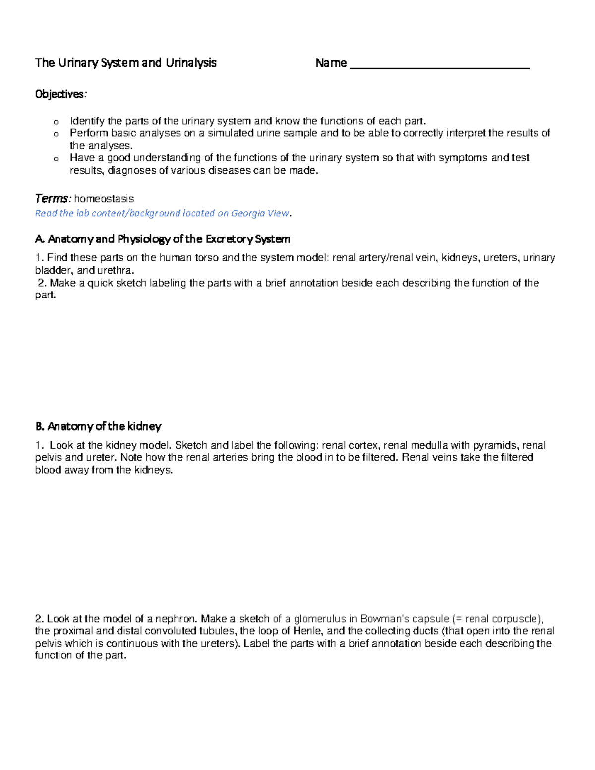 Simulation of Urinalysis: Examining the Urinary System - Lab Report ...