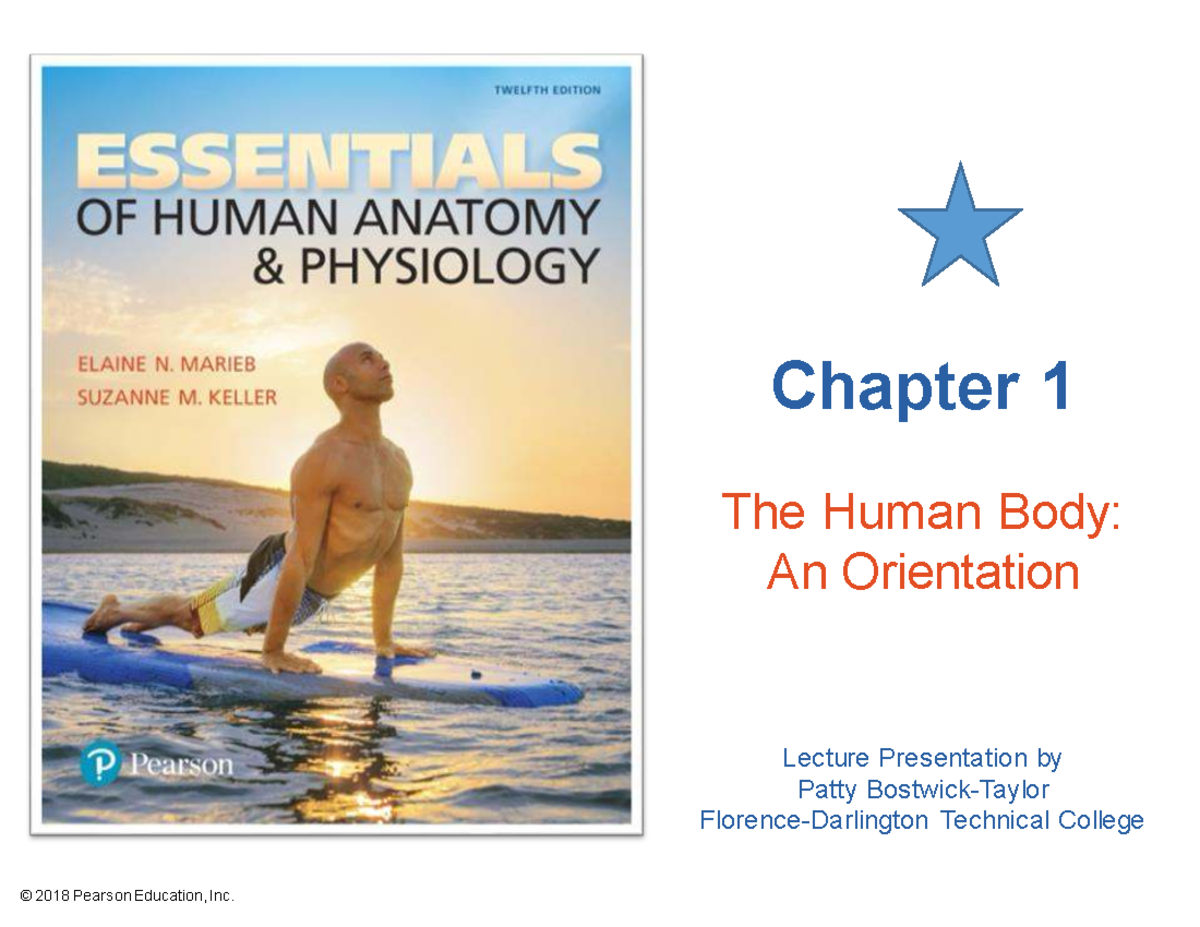 Chapter 1: The Human Body - Orientation Lecture (ANAT 101) - Studocu